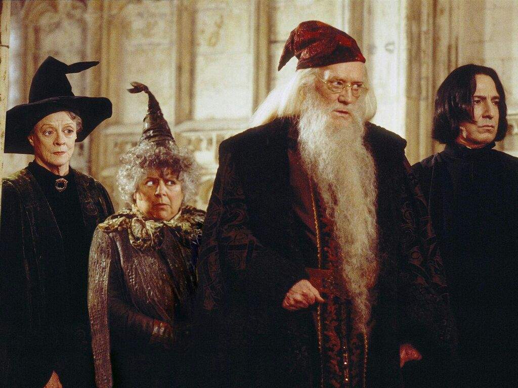 Top 10 Professor-Professor Hogwarts - The Patriots